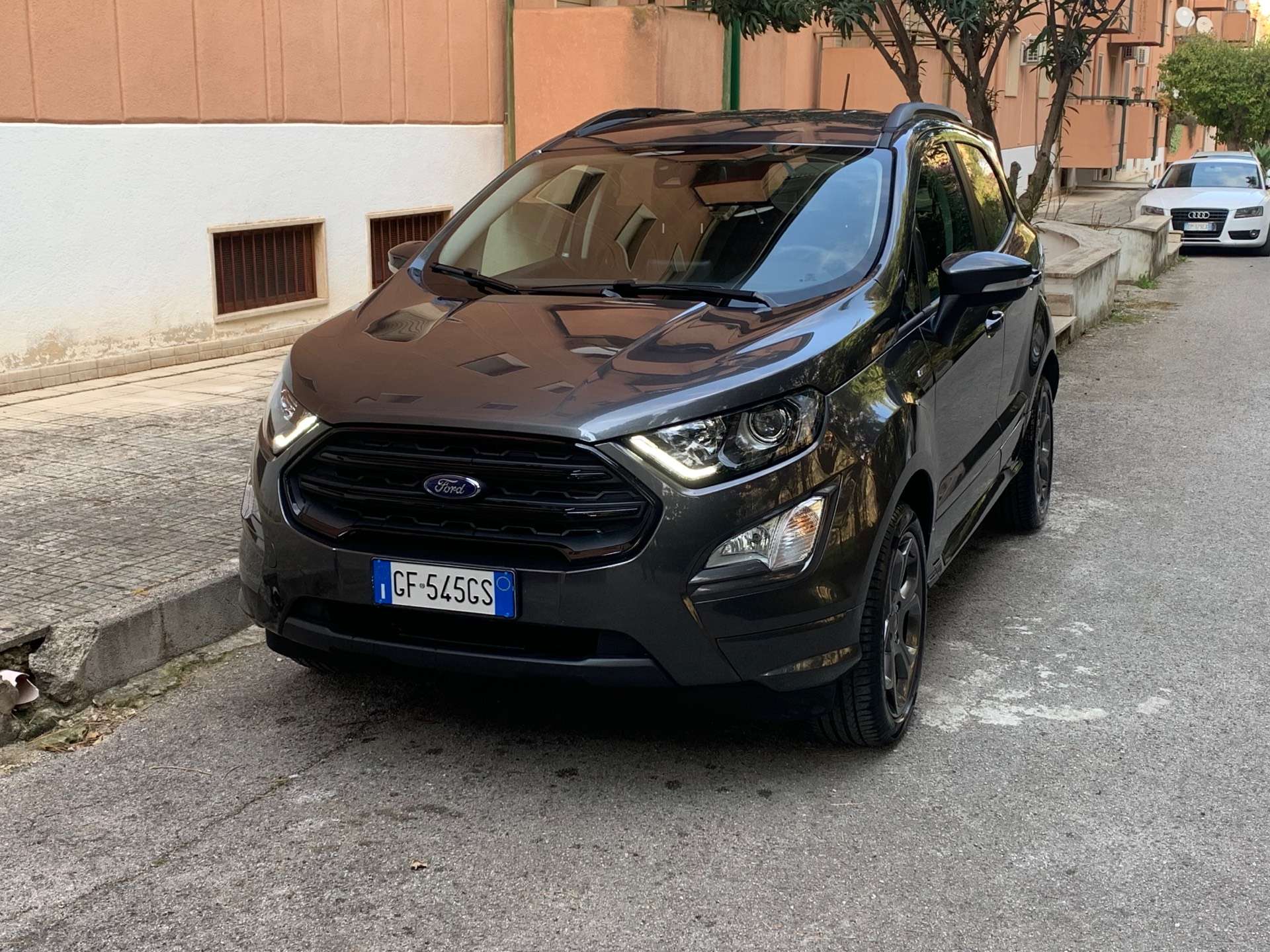 Ford EcoSport1.0 ecoboost ST-Line s&s 125cv my20.25