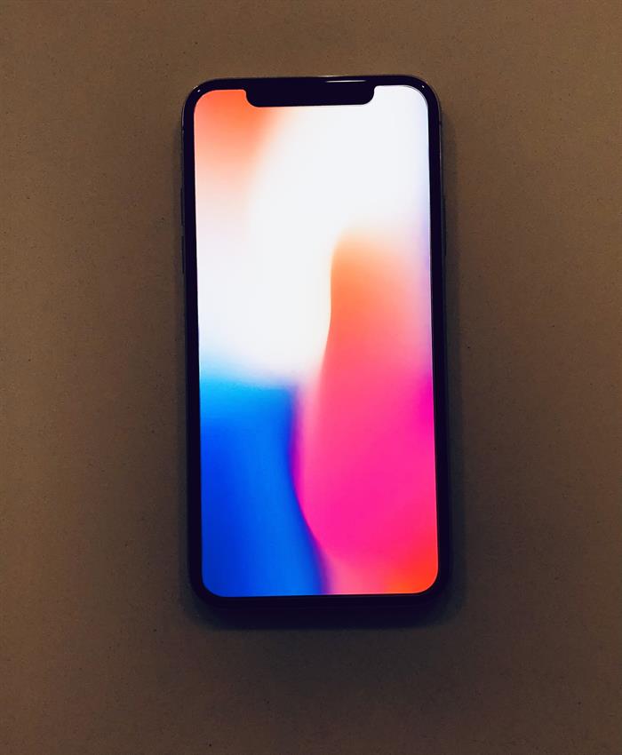 IPHONE X 256 GB