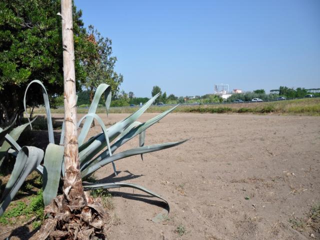 Giugliano - grotta del sole. terreno agricolo