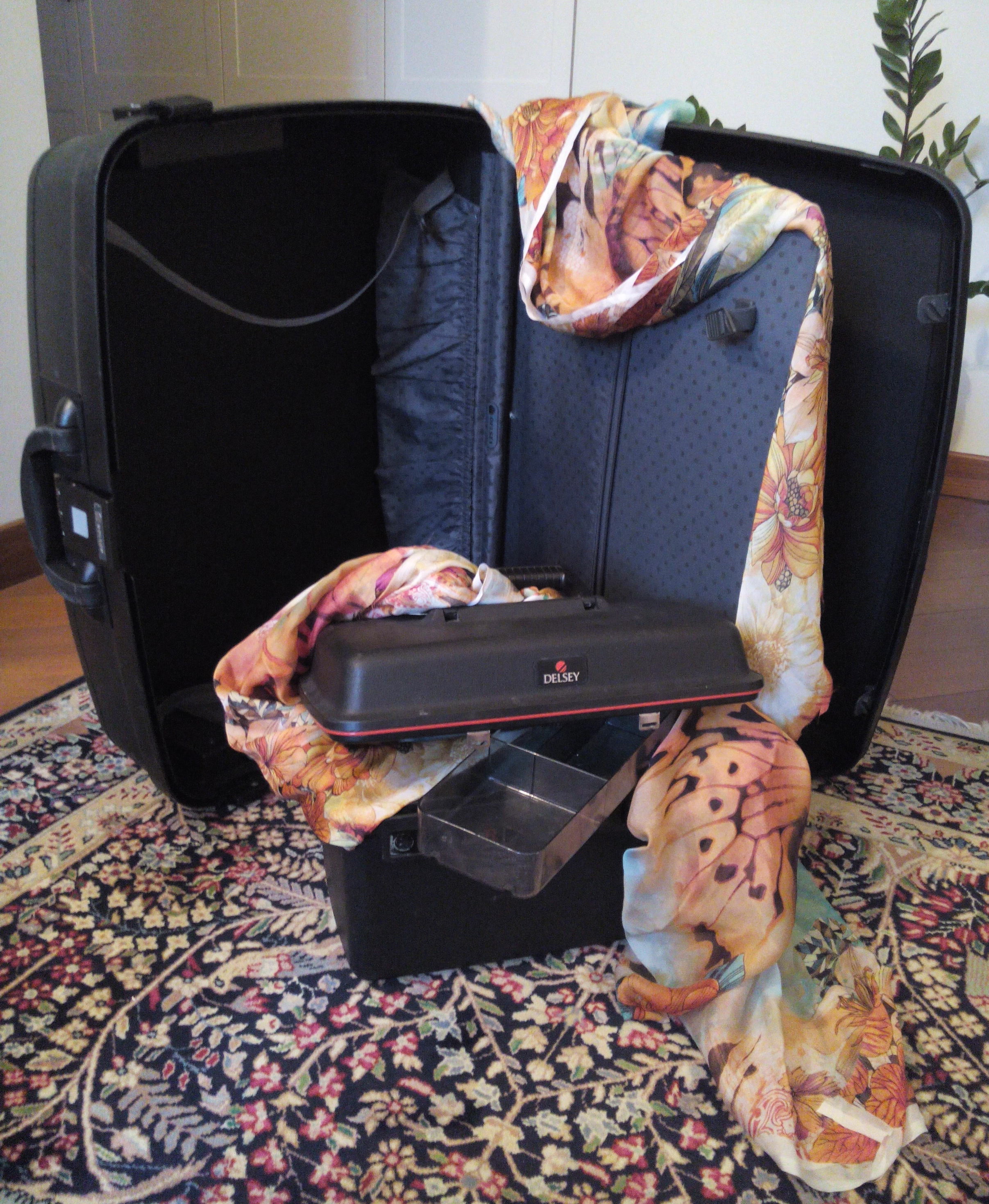 COPPIA VALIGIE RIGIDE - TROLLEY E BEAUTY CASE DELSEY