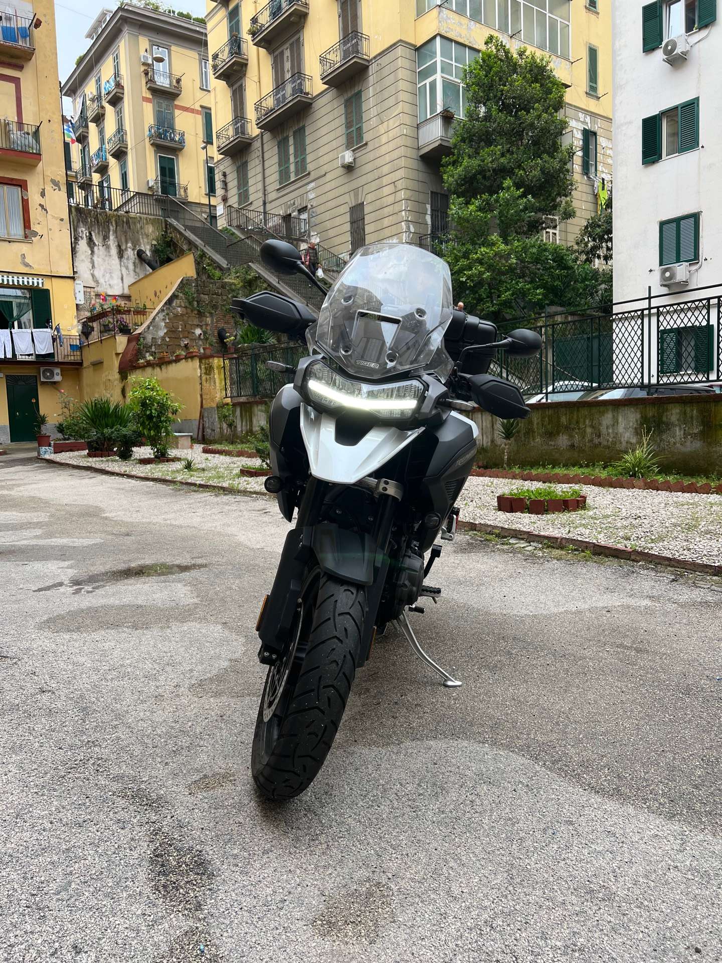 Triumph Tiger 1200GT PRO