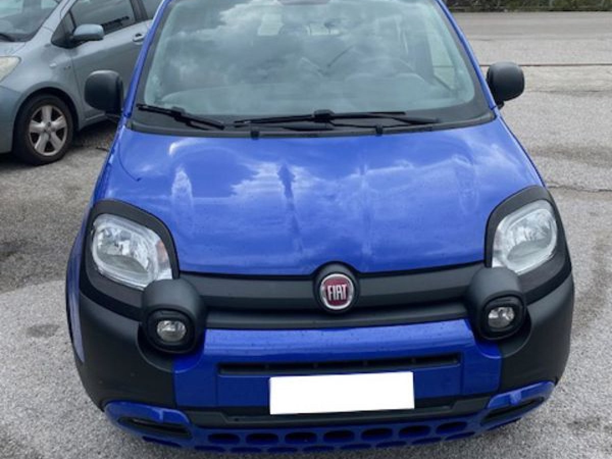 FIAT Panda 3ª serie Panda 1.2 Waze