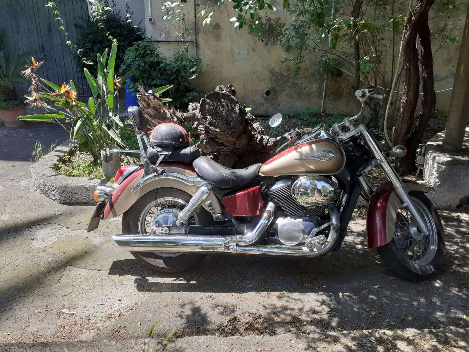 Honda VT 750C "SHADOW" American Classic