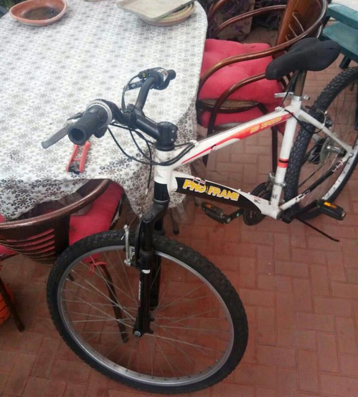 BICI MTB