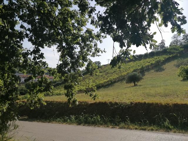 Terreno agricolo in vendita a chieti periferia