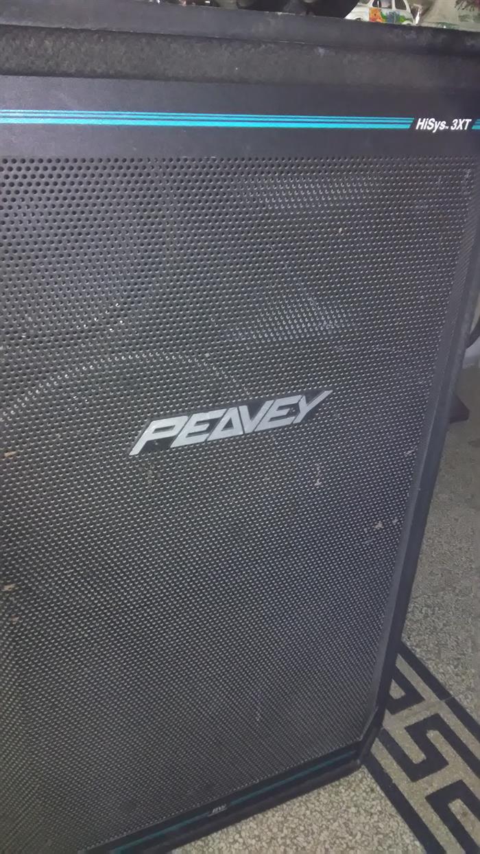 CASSE AUDIO PEAVEY ENGLAND