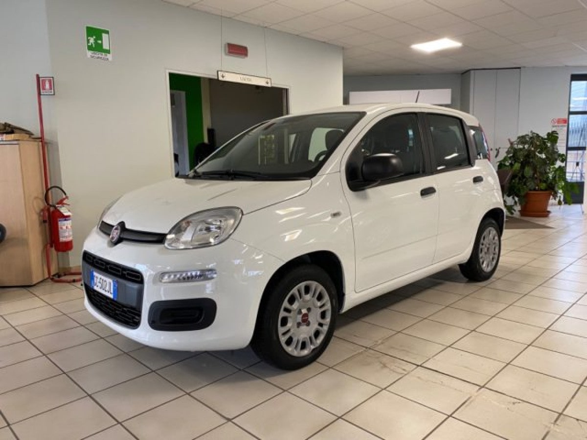 FIAT Panda 3ª serie Panda 1.2 Easy