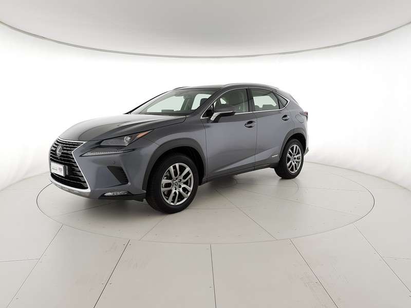 Lexus NX 300300h 2.5 executive 4wd cvt