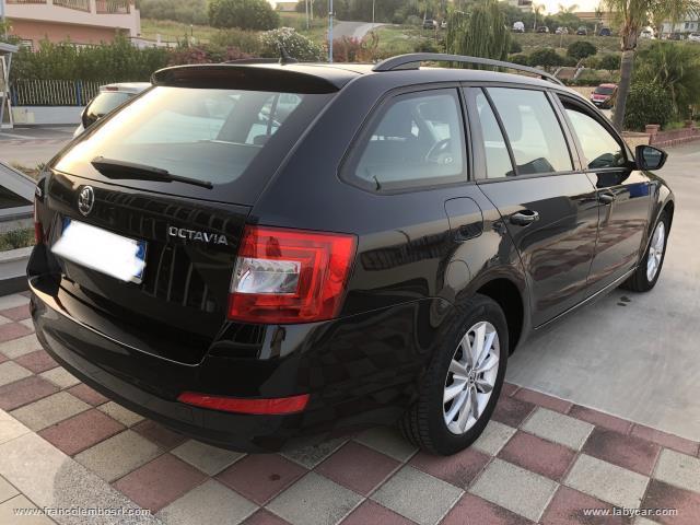 Skoda octavia 1.6 tdi cr 110 cv executive