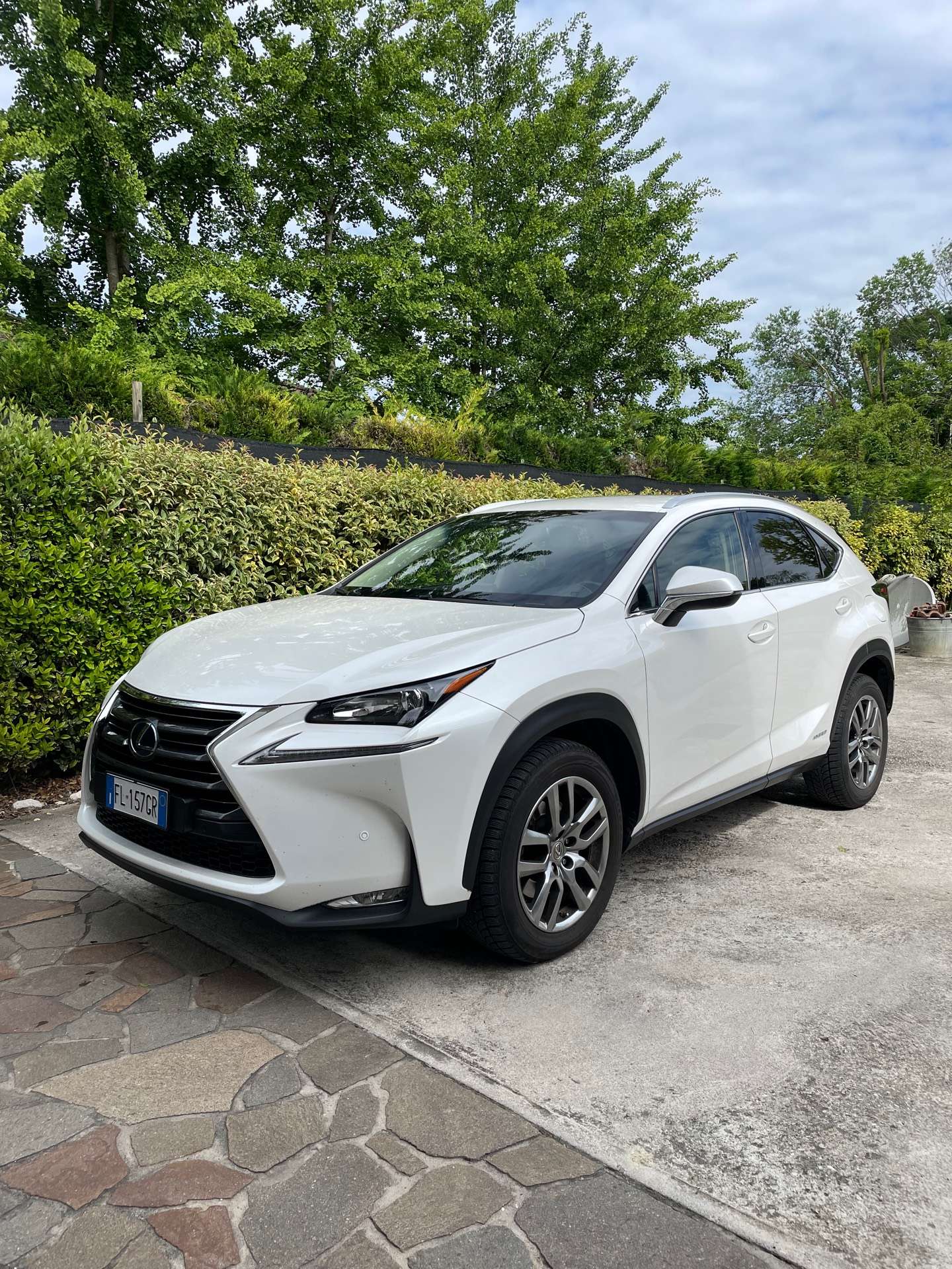 Lexus NX 300300h 2.5 Executive 4wd cvt