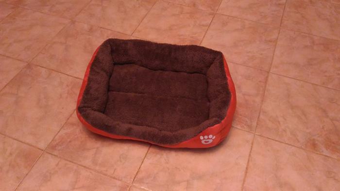 CUCCIA CANE NUOA