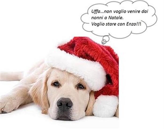 DOG SITTER A NATALE E CAPODANNO