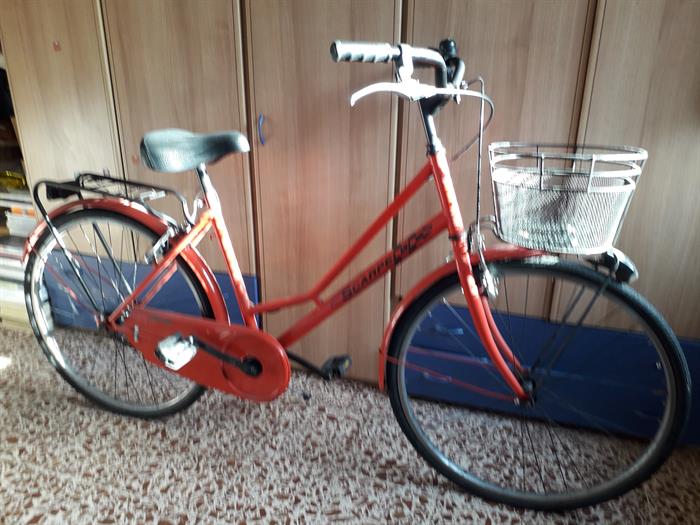 BICI DA DONNA