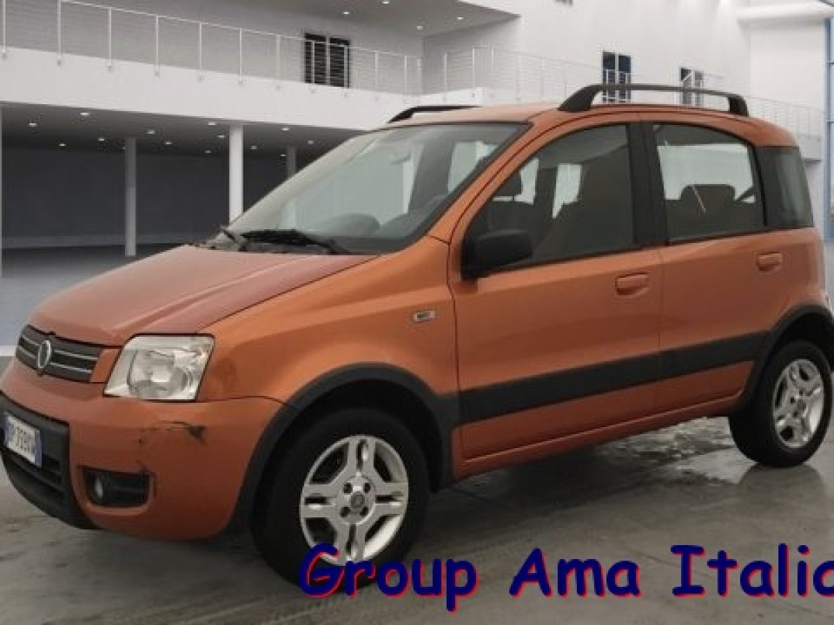 FIAT Panda 2ª serie Panda 1.2 Climbing Natural Power