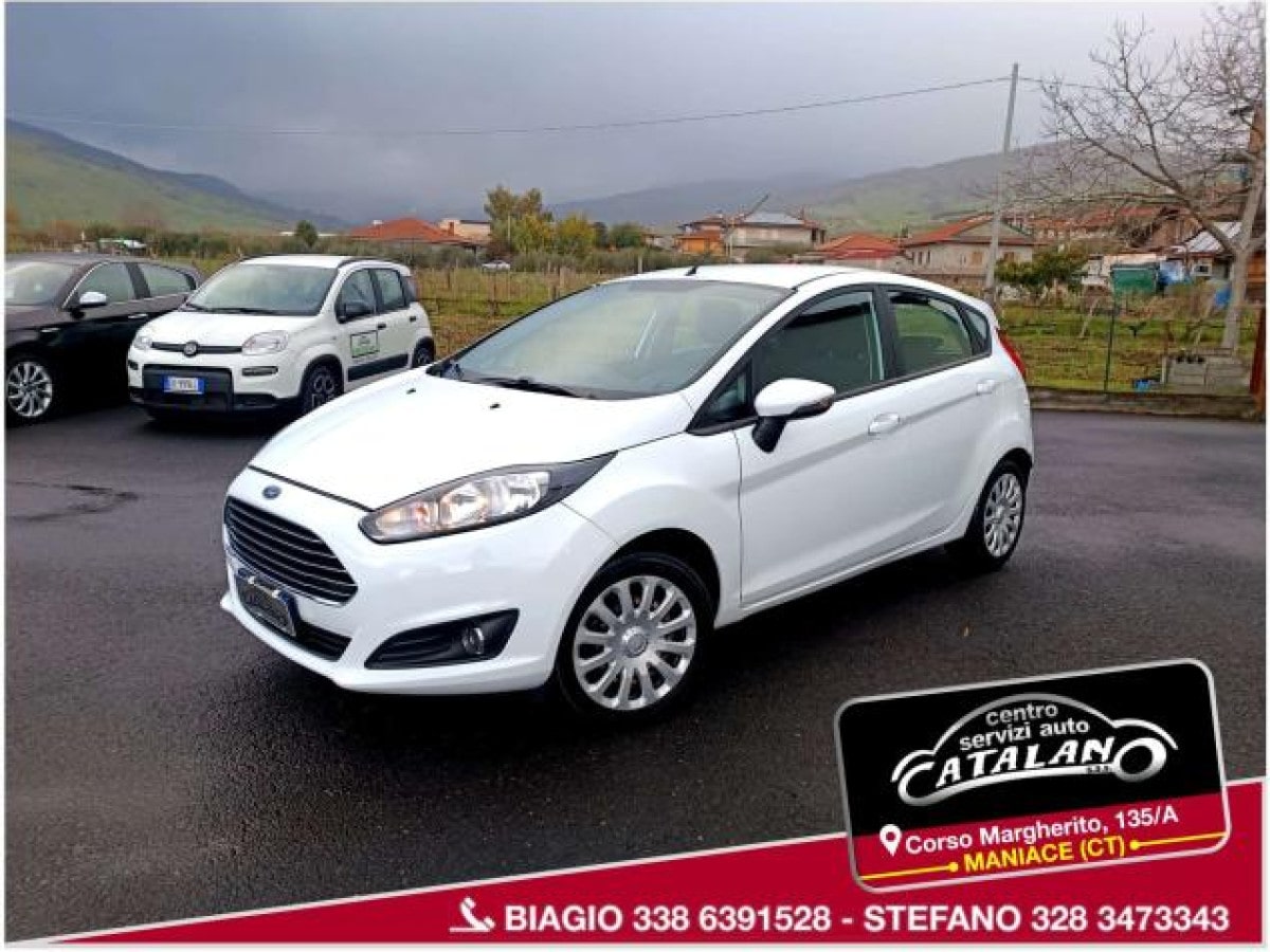 FORD Fiesta 3ª serie Fiesta 5p 1.5 tdci Titanium 75cv