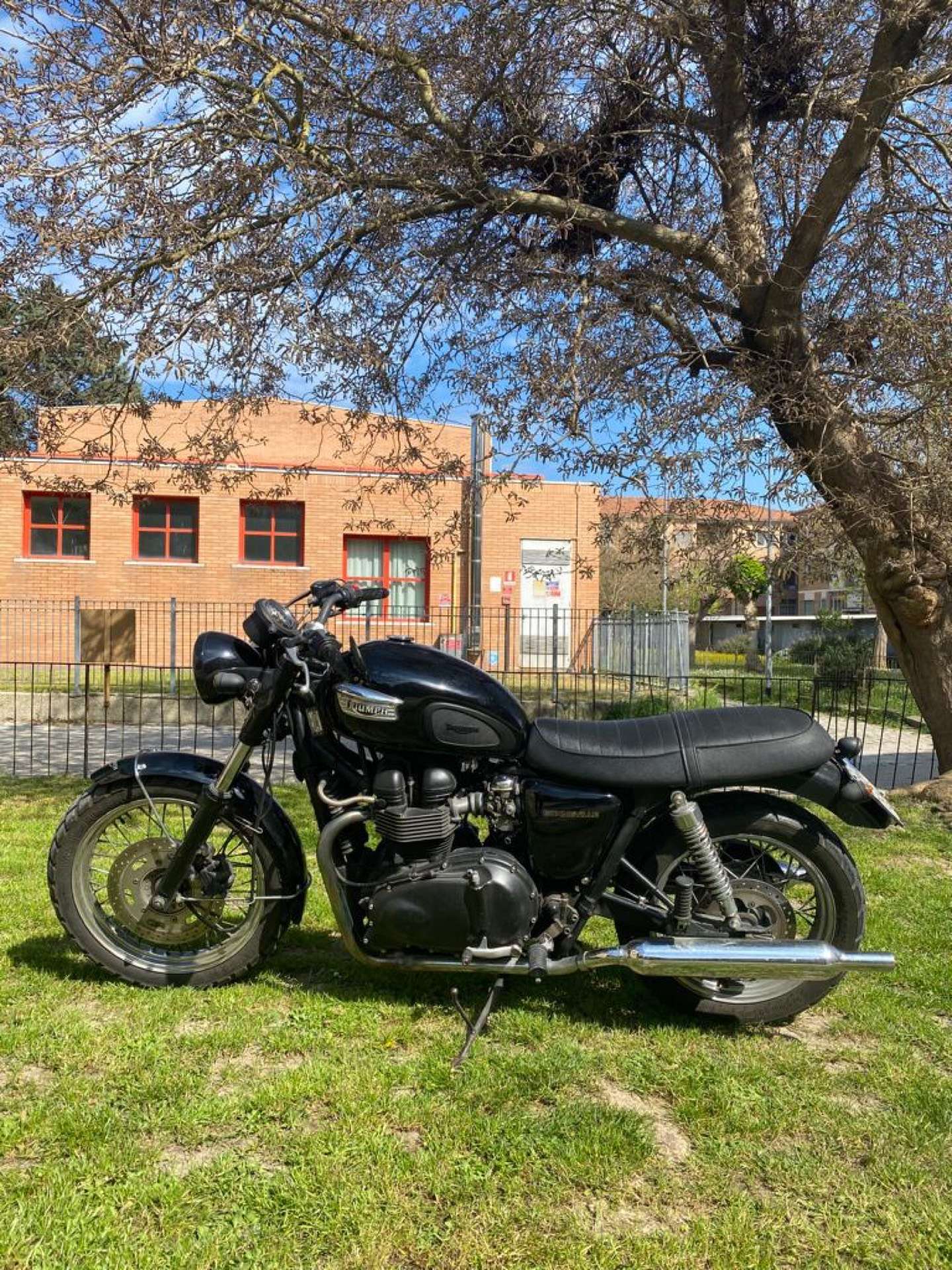 Triumph Bonneville T100all black