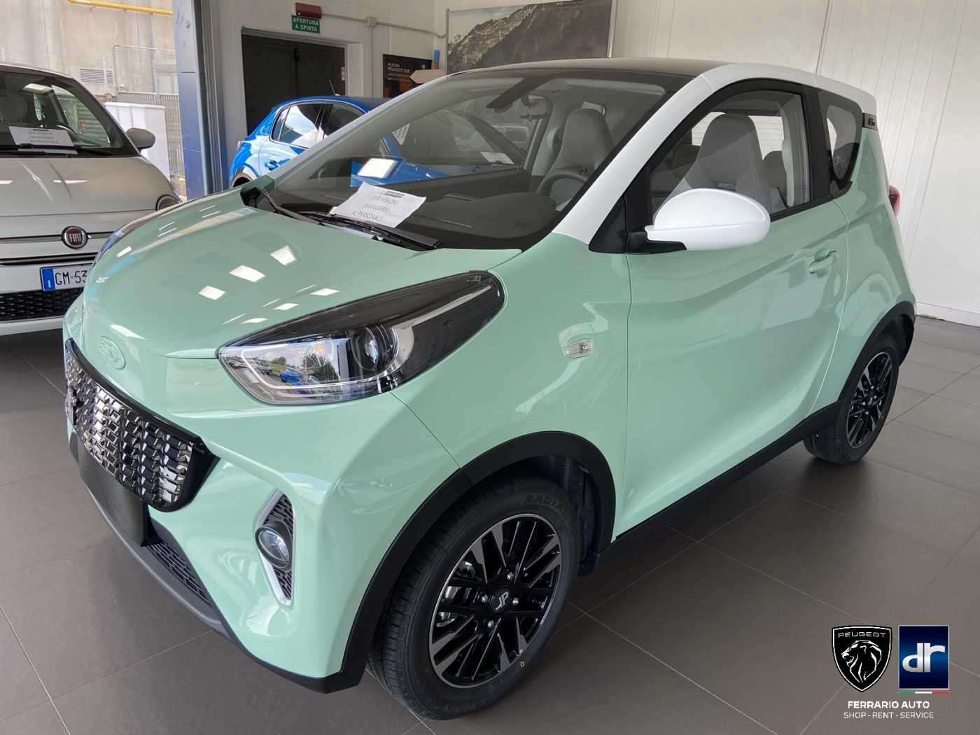 Altro 1.0 EV CITY CAR