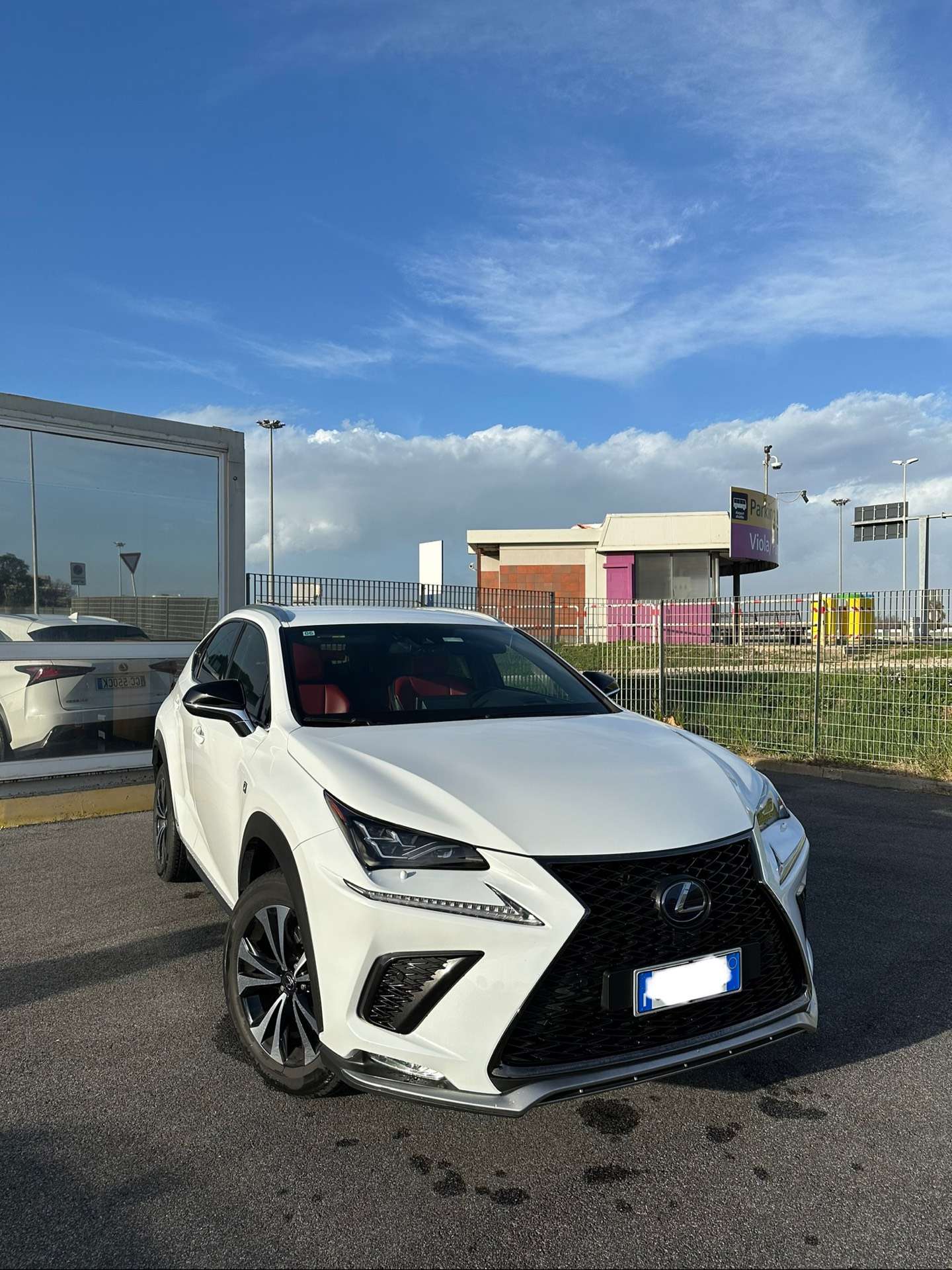 Lexus NX 300300h 2.5 F Sport 4wd cvt