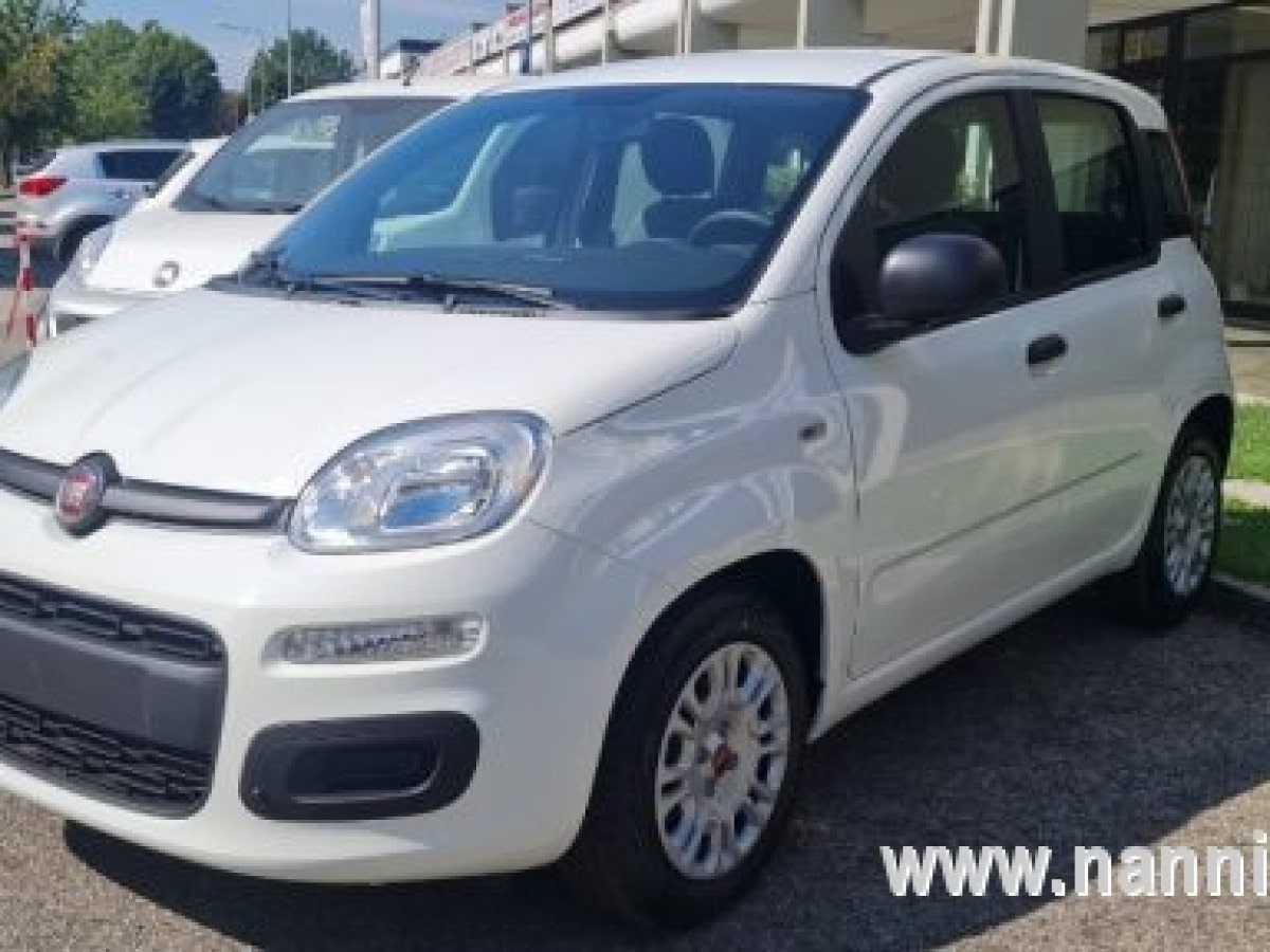 FIAT Panda 3ª serie Panda 1.0 FireFly S&S Hybrid Easy