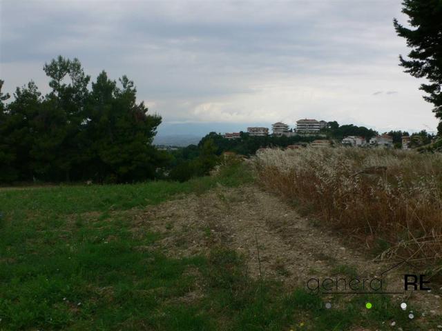 Terreno edificabile c.da macchiano