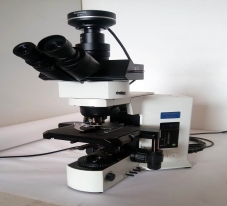 MICROSCOPIO BINOCULARE DA LABORATORIO – OLYMPUS BX51TF COD: 2028