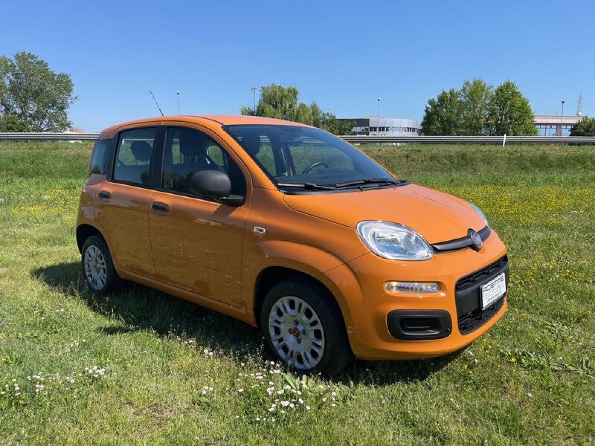 FIAT Panda 3ª serie Panda 1.2 Easy