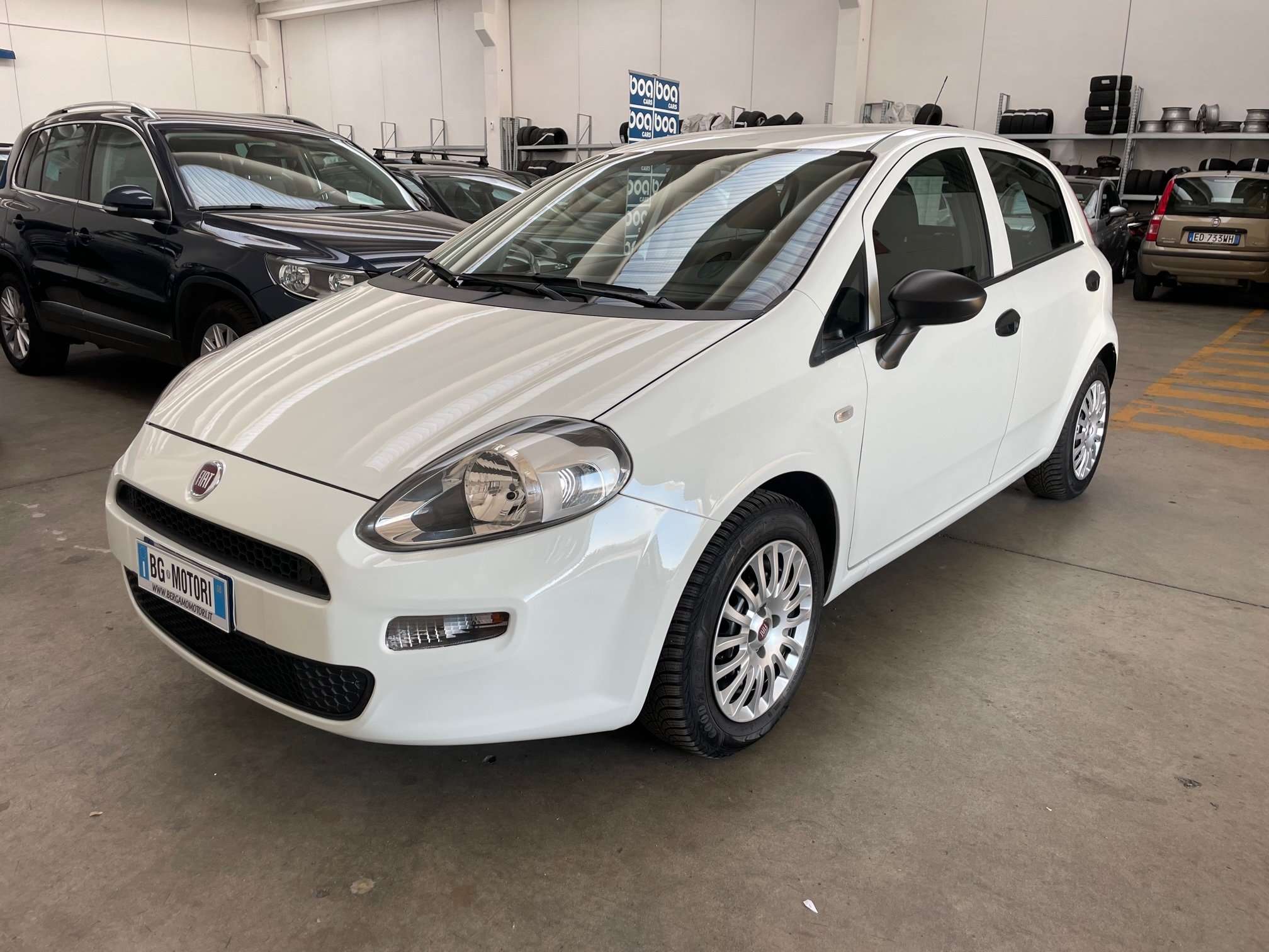 Fiat Punto5p 1.3 mjt Street IVA ESPOSTA GARANZIA PERMUTE