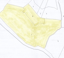 terreno boschivo mq 30200 - Isernia loc.Vandra