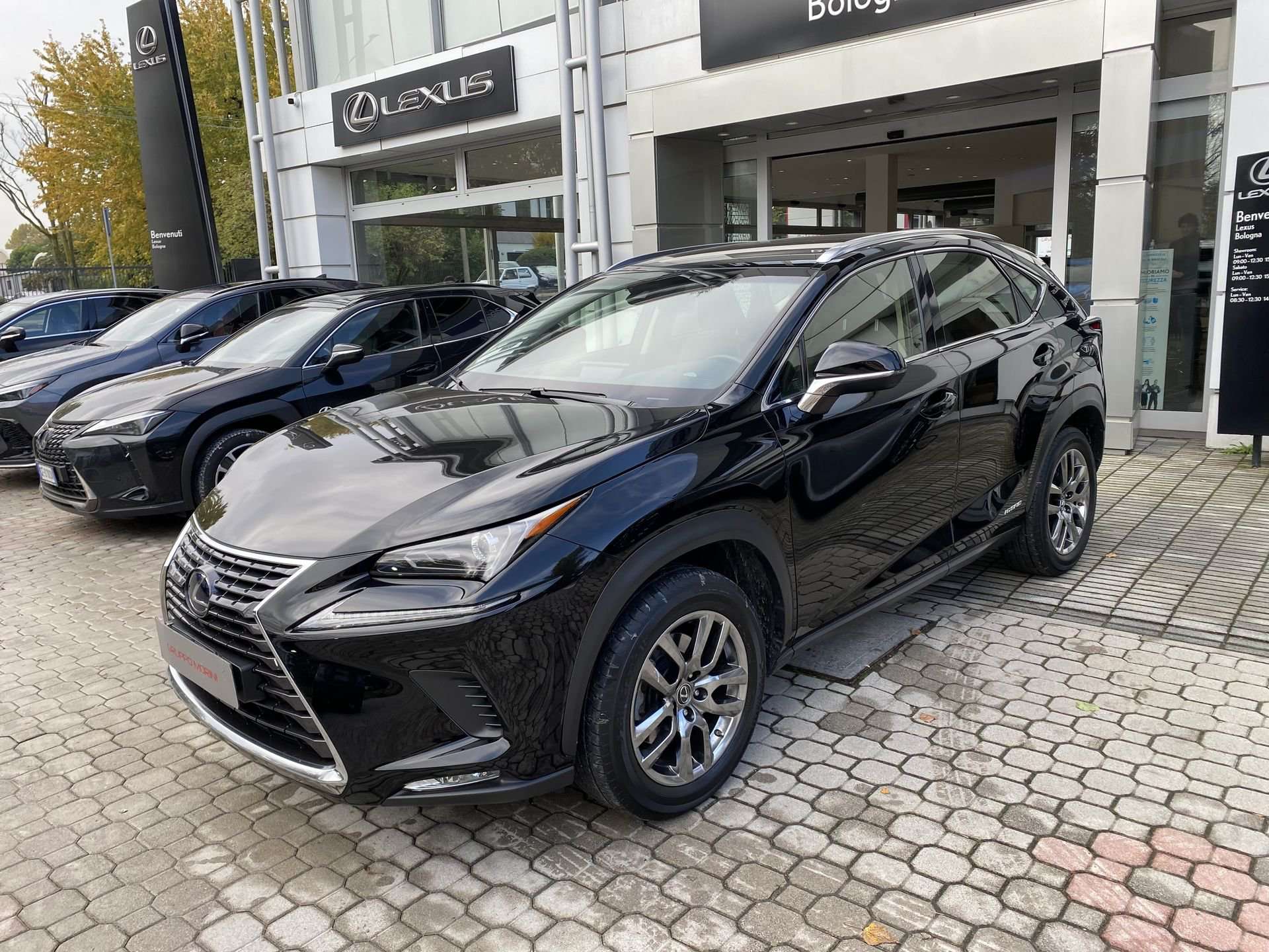 Lexus NX 300Hybrid 4WD Executive