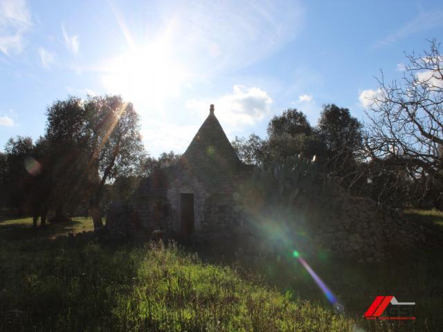 Francavilla fontana, trullo originale con ampio terreno