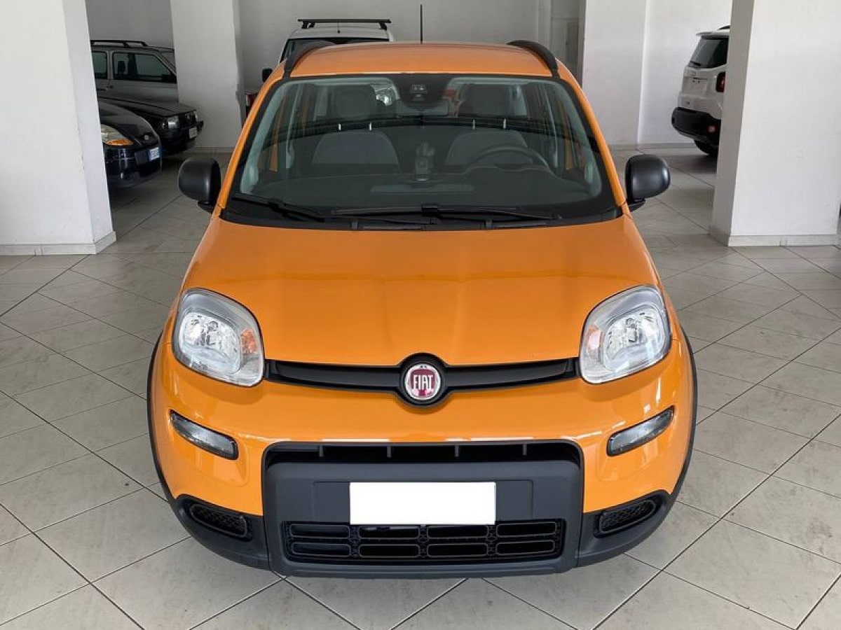 FIAT Panda 3ª serie Panda 1.0 FireFly S&S Hybrid City Cross