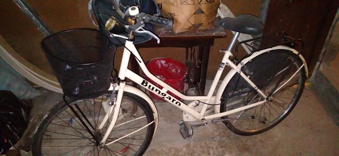 BICI DA DONNA OLANDESINA