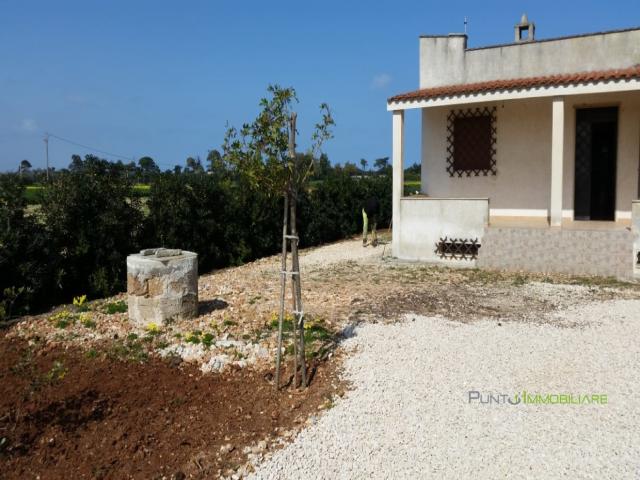 Villa con taverna e ampio terreno in località torre guaceto