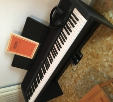 Vendo il mio pianoforte