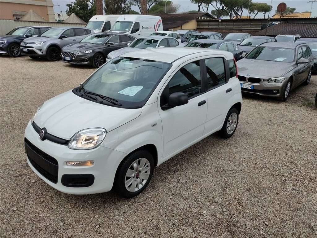 Fiat Panda1.2 69cv CLIMATIZZATORE OK NEOPATENTATI ..