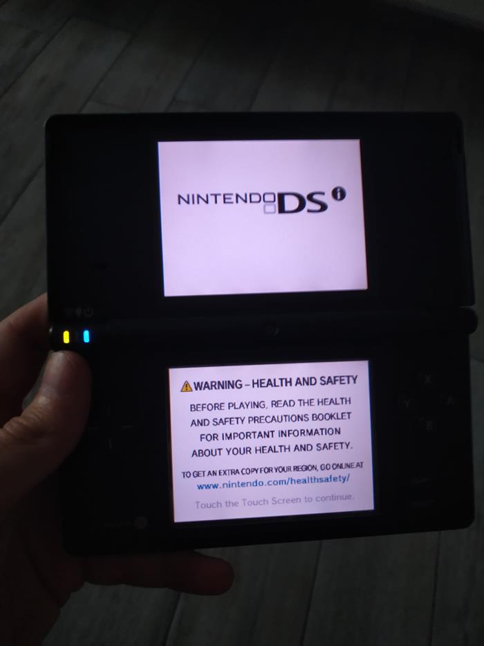 NINTENDO DSI