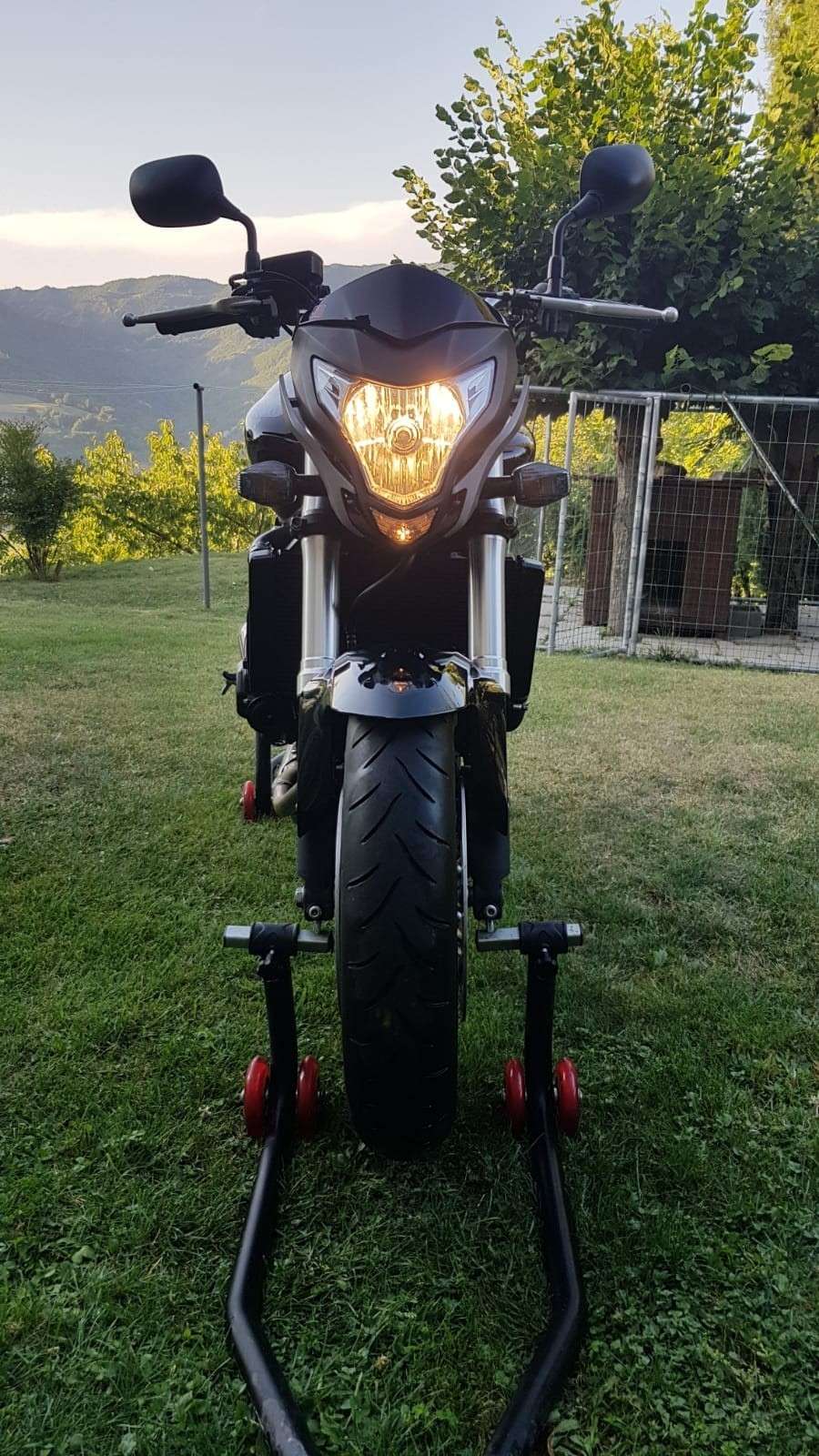 Honda Hornet