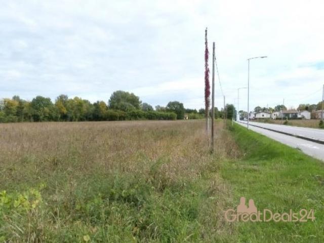 Terreno agricolo - viale brigata marche