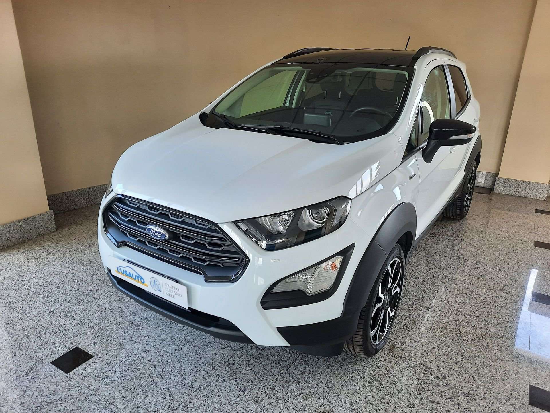 Ford EcoSport1.0 EcoBoost 125 CV Start&Stop Active