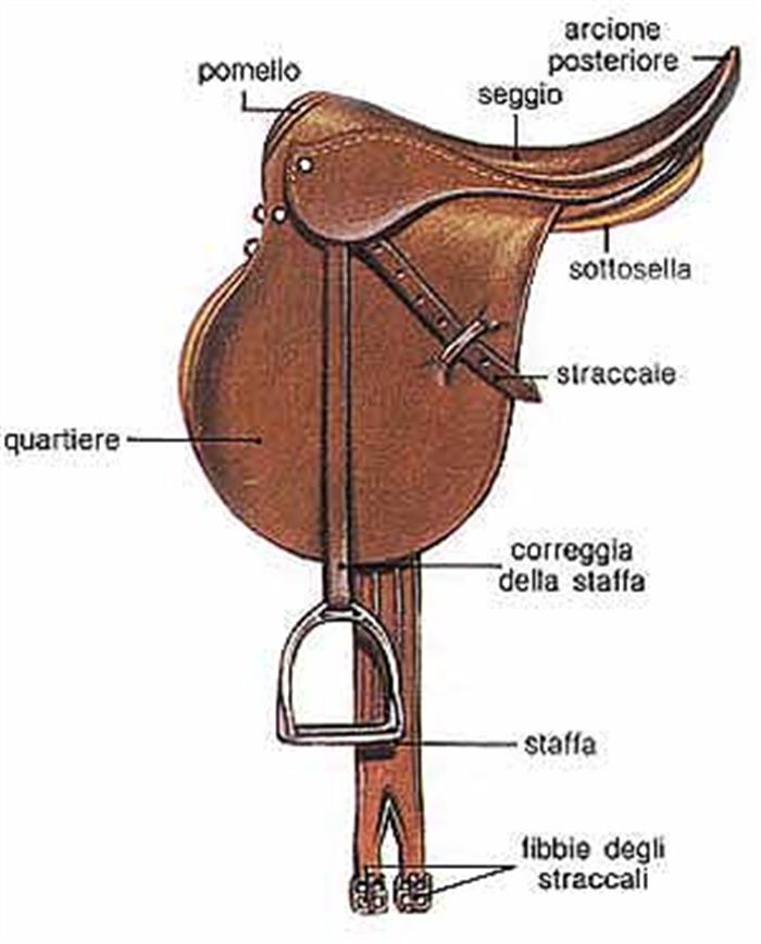 DUE SELLE DA EQUITAZIONE MONTA INGLESE