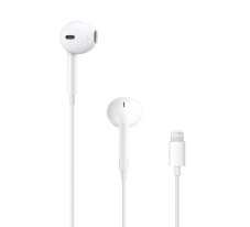 Apple: EarPods, cavo, alimentatore, custodia