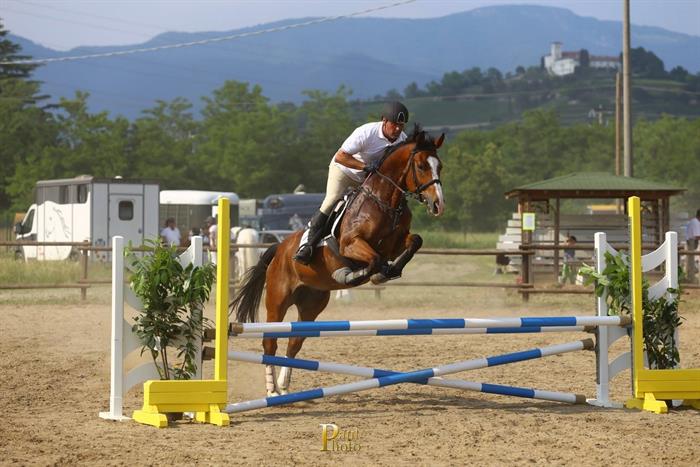 CAVALLO SELLA