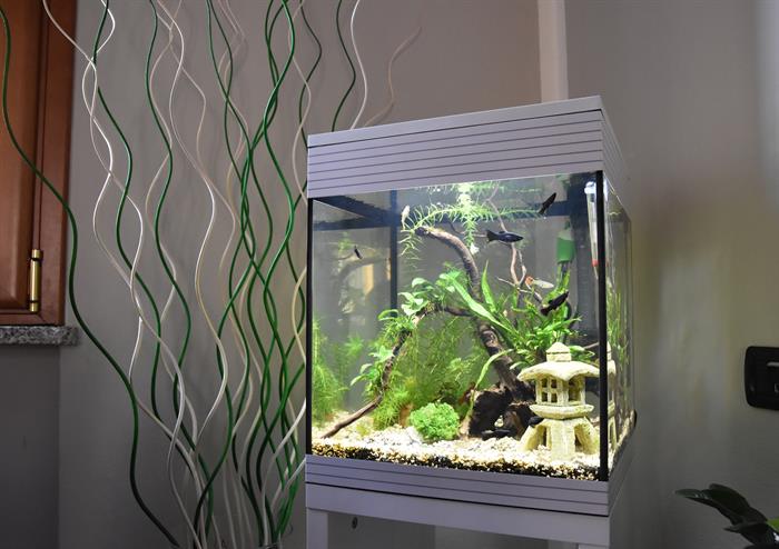 ACQUARIO ASKOLL PURE M LED