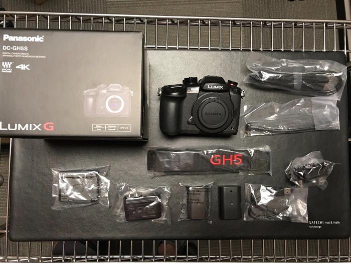 PANASONIC GH5S