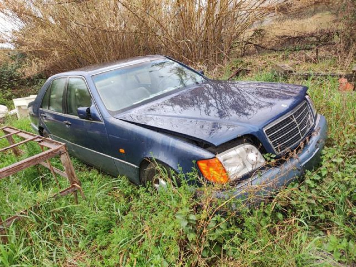 MERCEDES Serie S (W/V/C140) S 350 turbodiesel cat