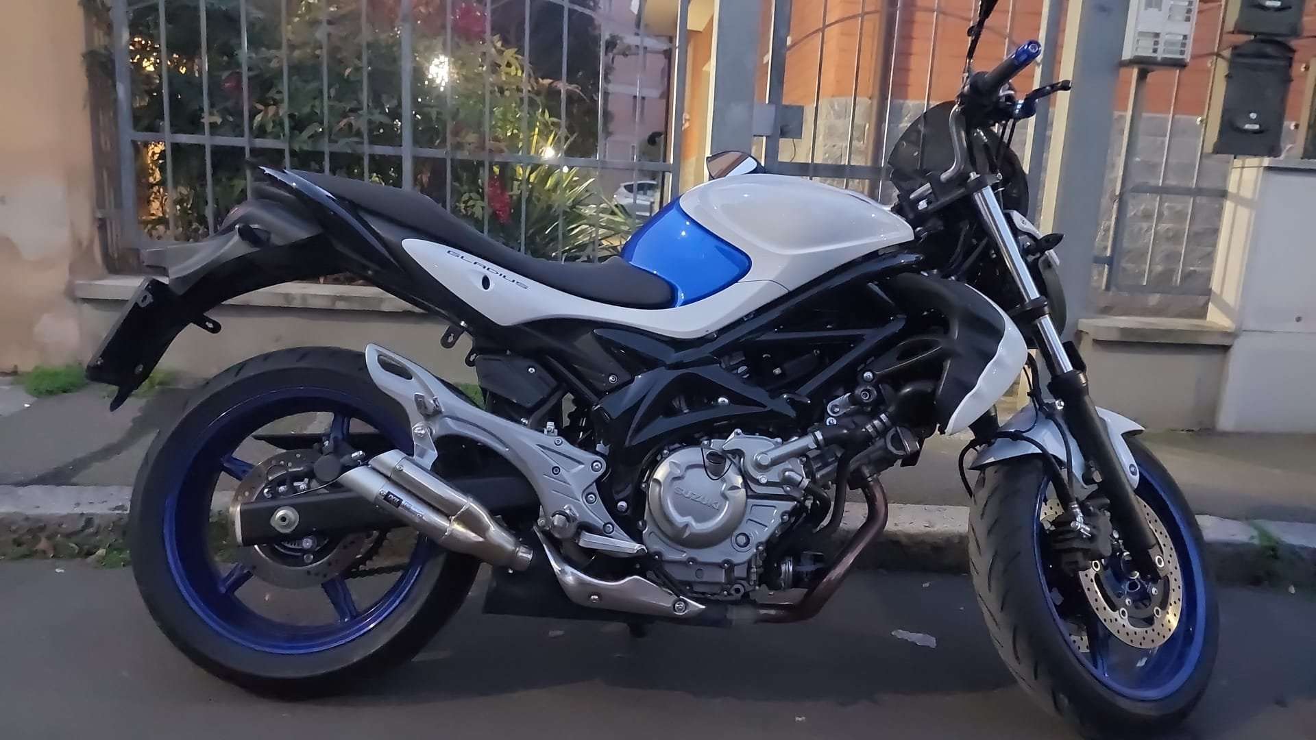 Suzuki Gladius 650