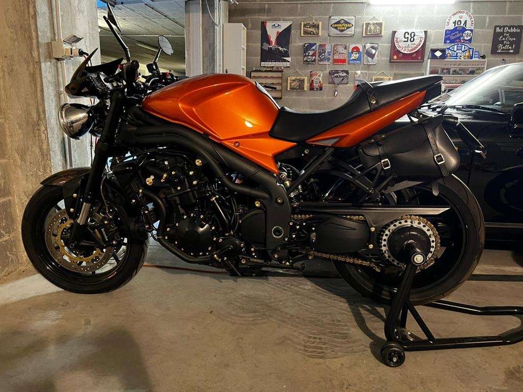 Triumph Speed Triple 1050Special version Snake design