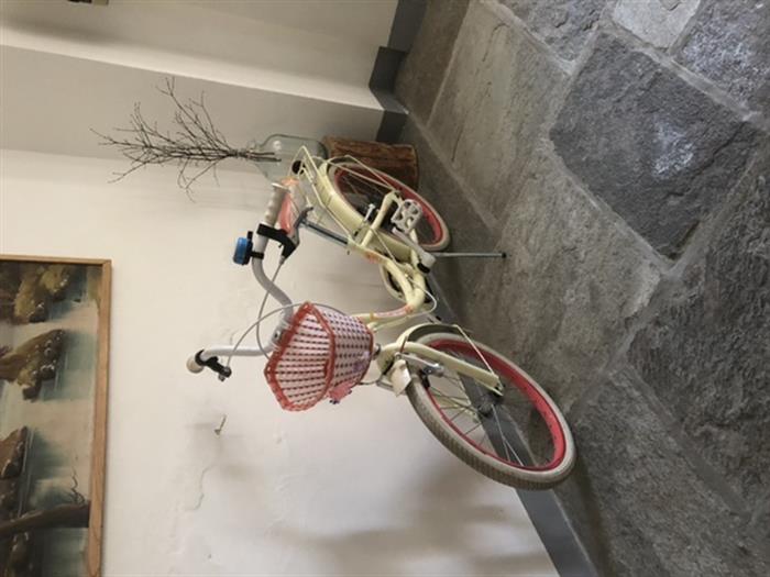 BICICLETTA BAMBINA 7/8 ANNI