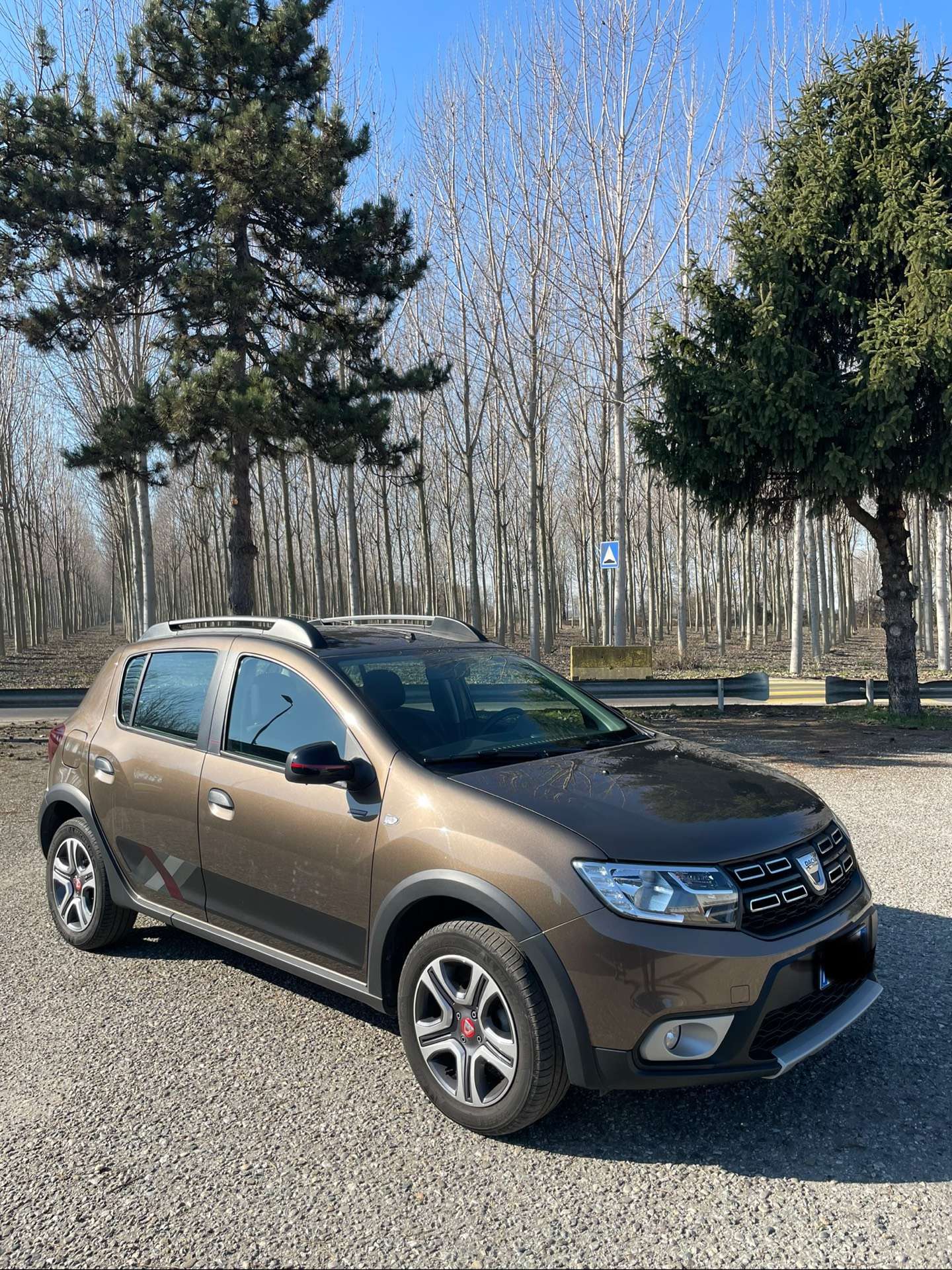 Dacia SanderoStepway 1.5 blue dci Techroad 95cv