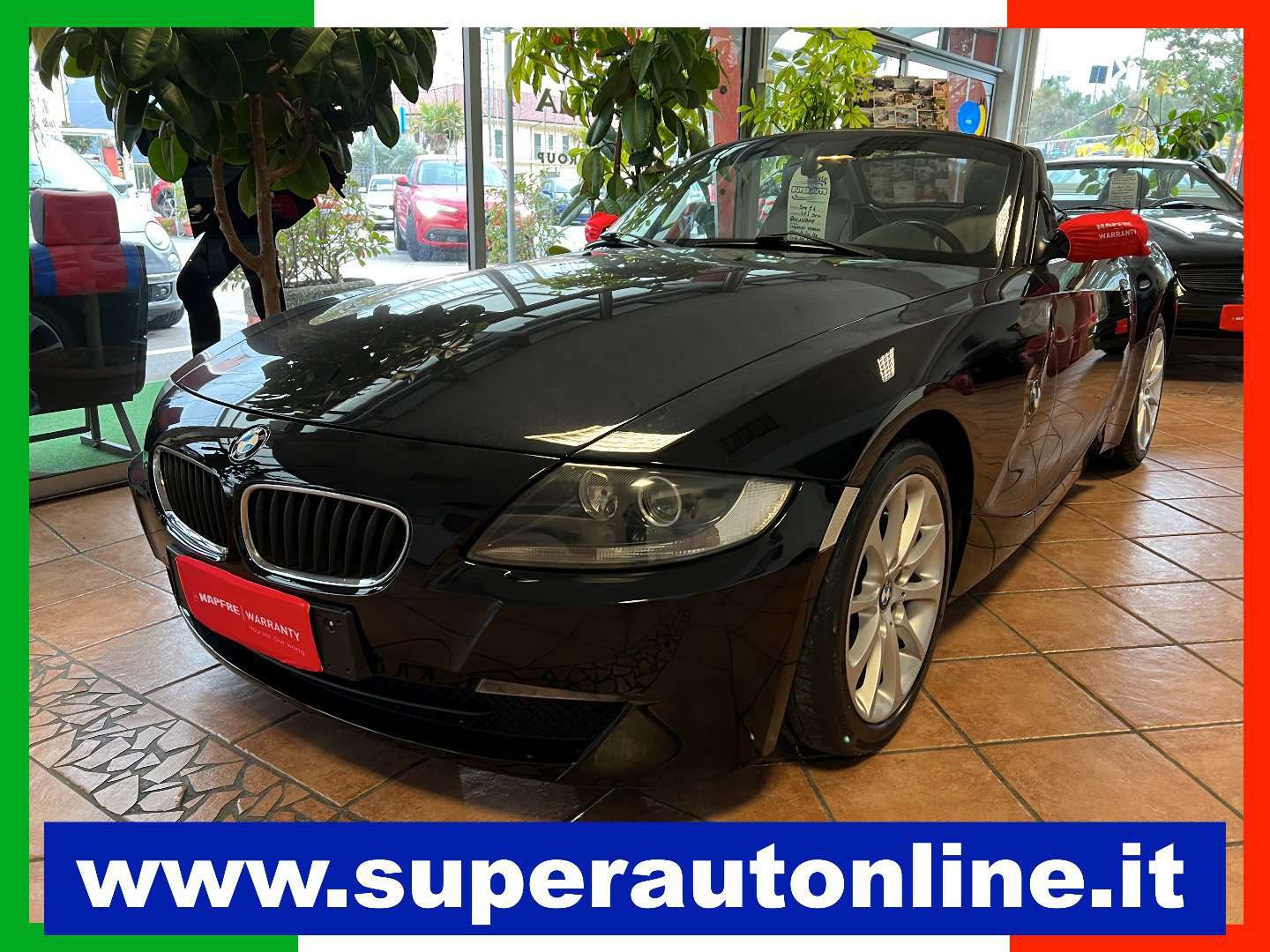 BMW Z42.0i cat Roadster